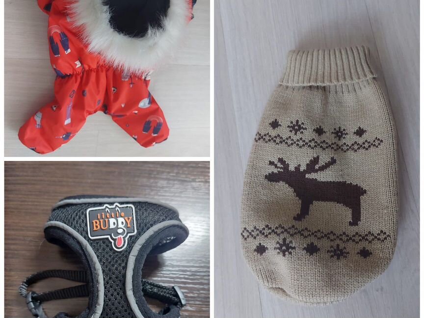 Одежда для маленьких собак