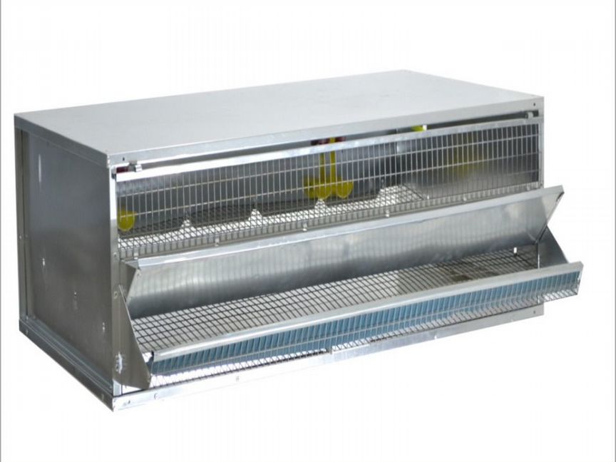 Клетка для перепелов на 50 голов