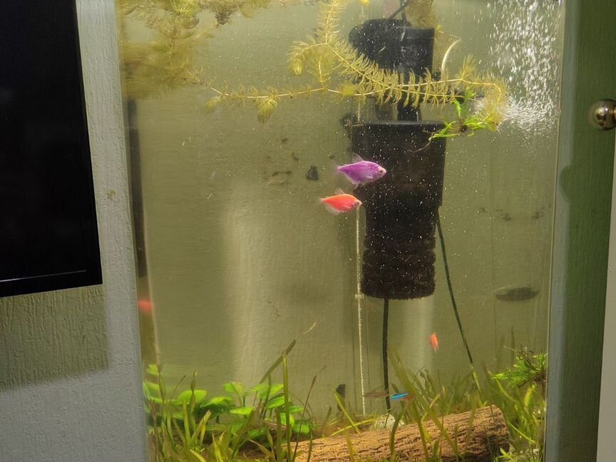 Аквариум вертикальный 100л