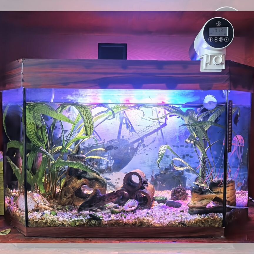 Аквариум на 70 литров со всем содержимым