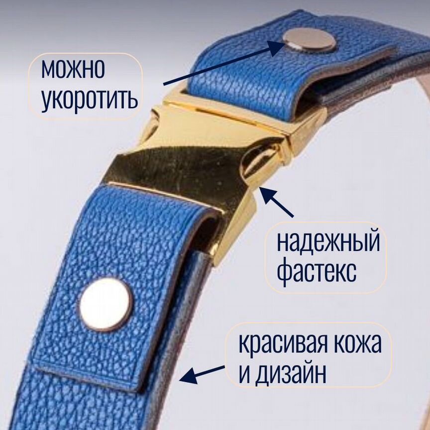 Ошейники на заказ