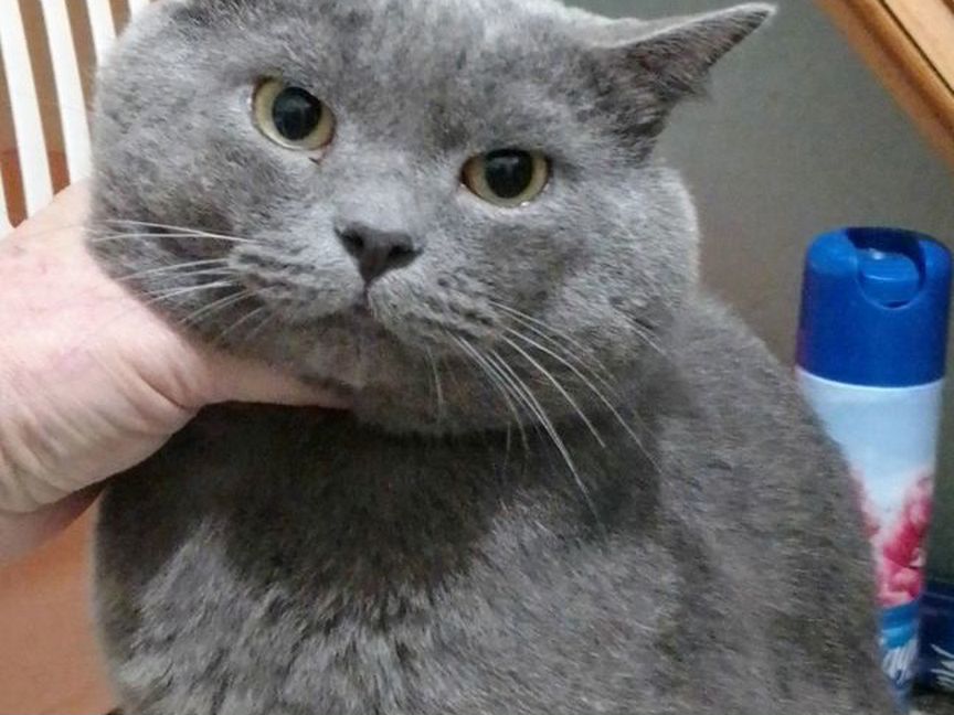 Вот такой пацан. умён, красив и молод