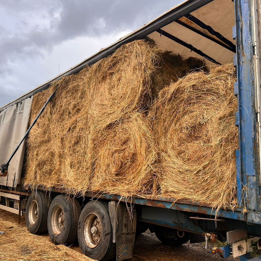 Сено в рулонах