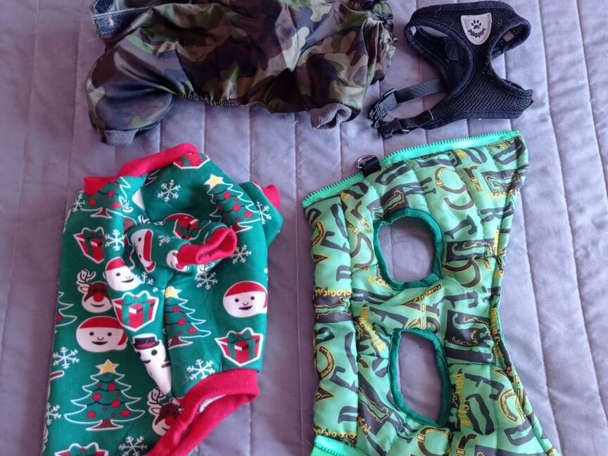 Одежда для собак