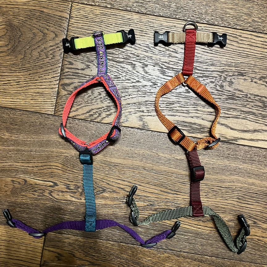 Шлейки Sharik Dog XXS