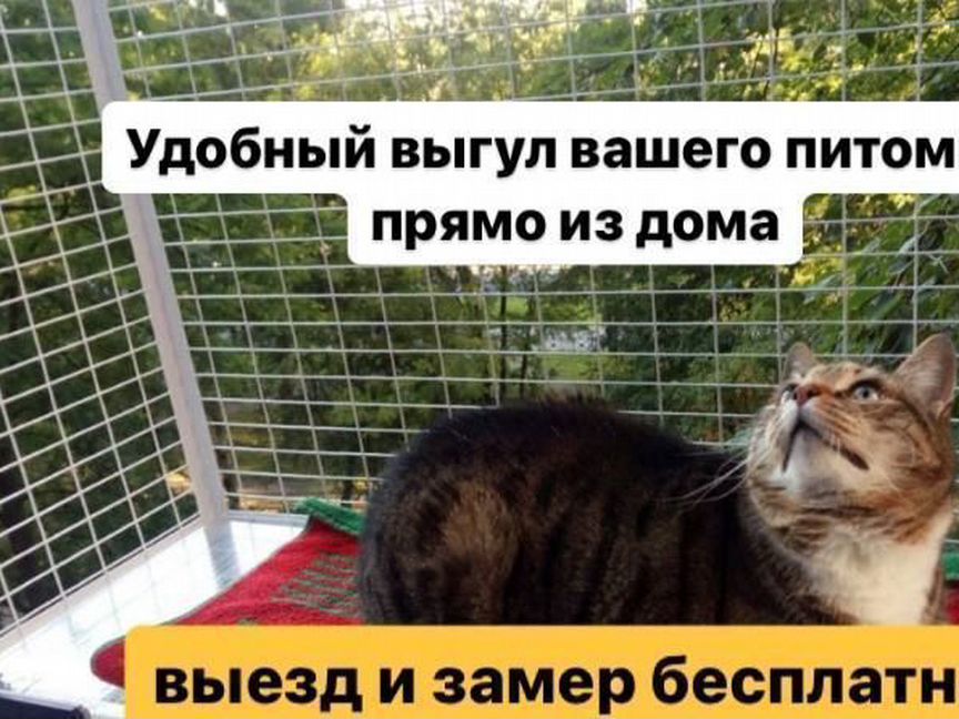 Балкончик для выгула кошки