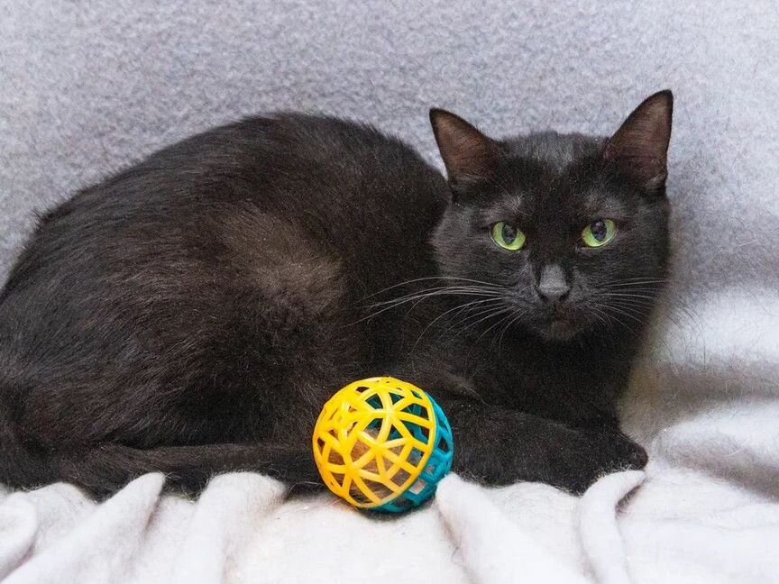 Сара душенька