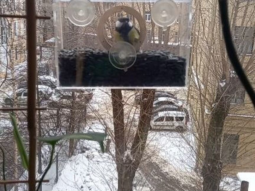 Кормушка для птиц