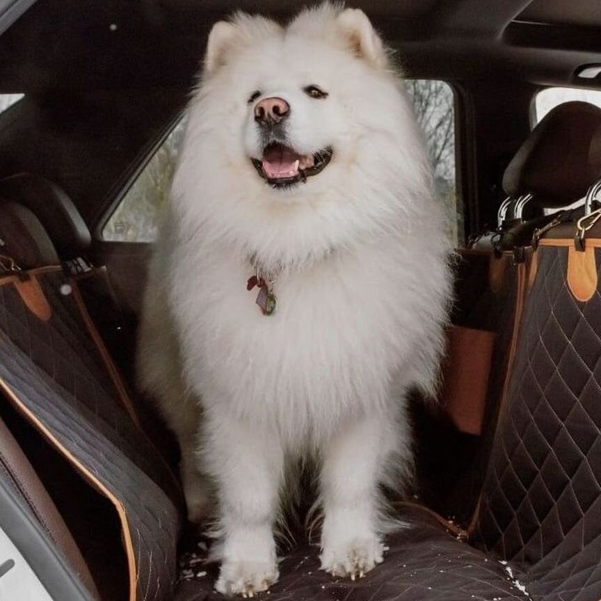 Автогамак