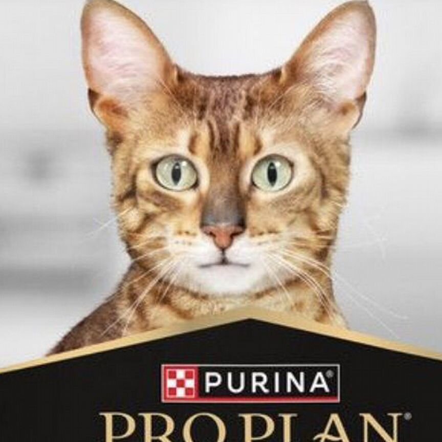 Сухой корм PRO plan Sterilised с лососем, 1,5 кг