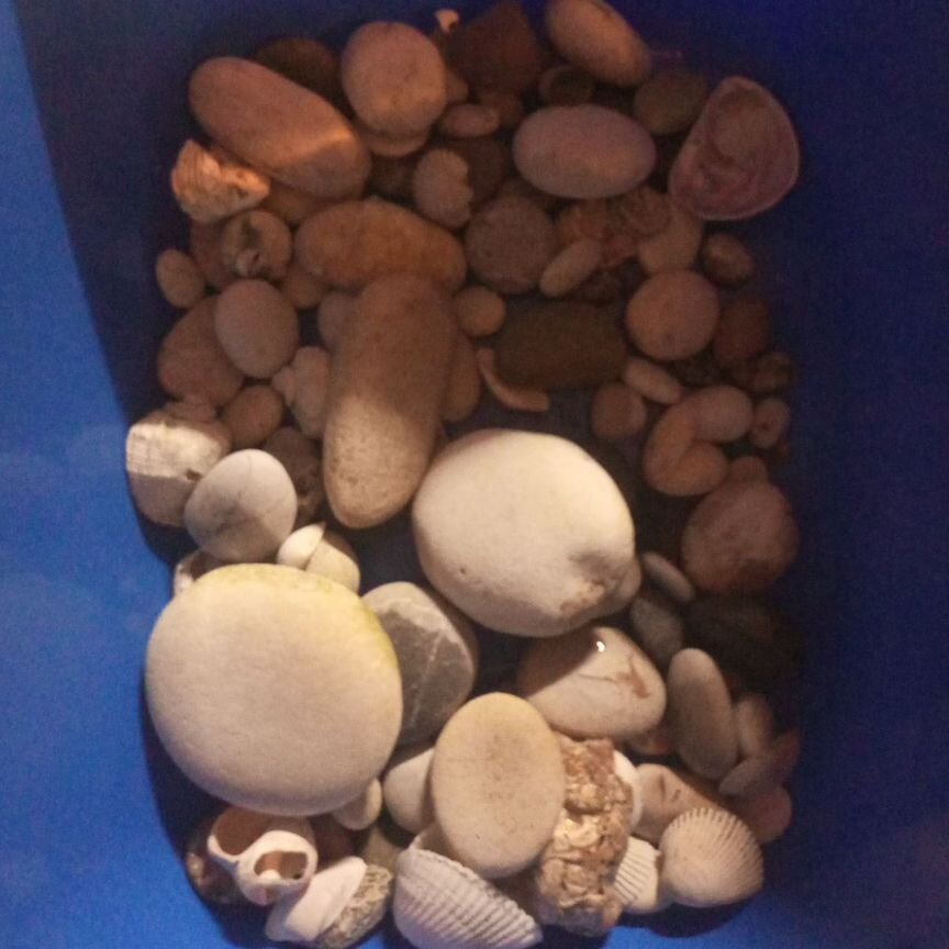 Камни, крупная галька