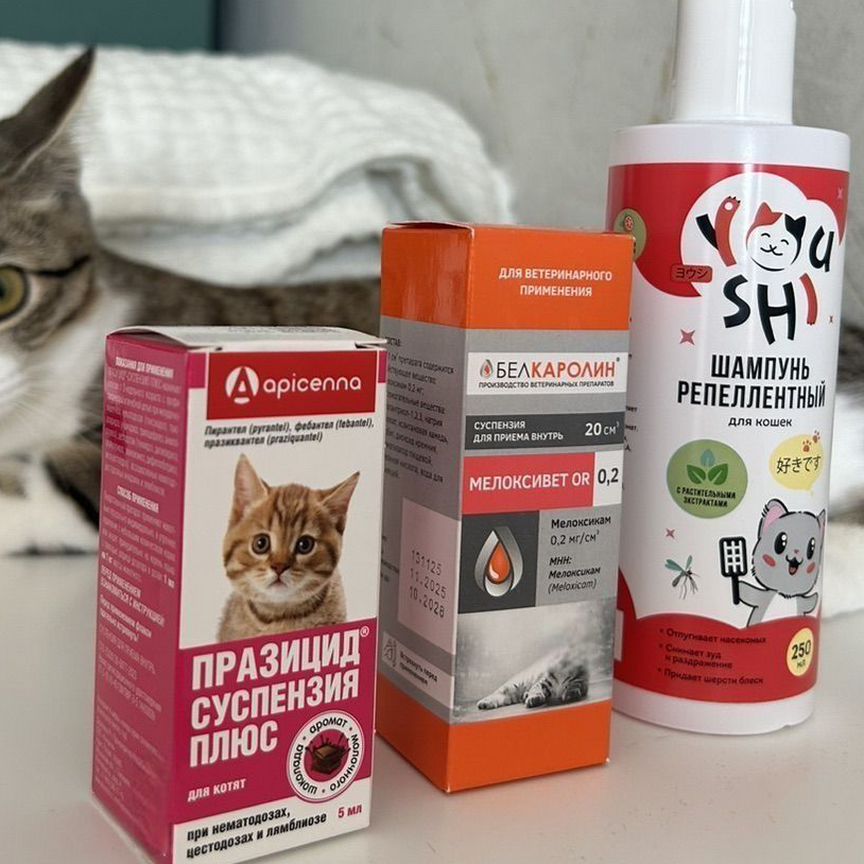 Товары для котиков