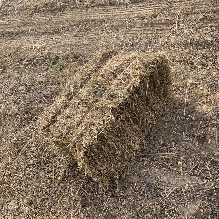 Сено разнотравие