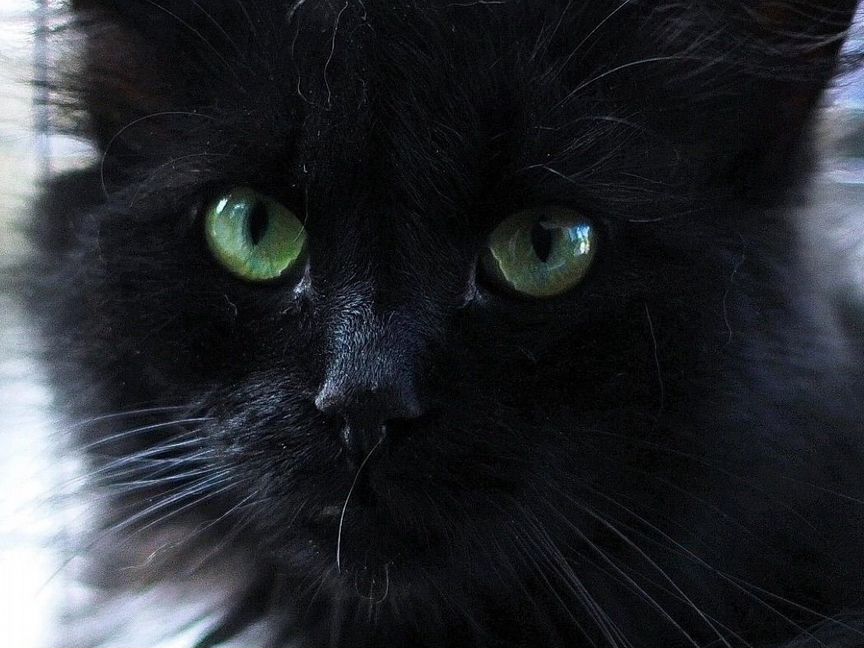 Пока не поздно