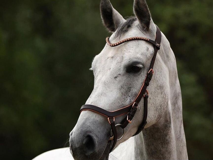 Анатомическая уздечка Миклема