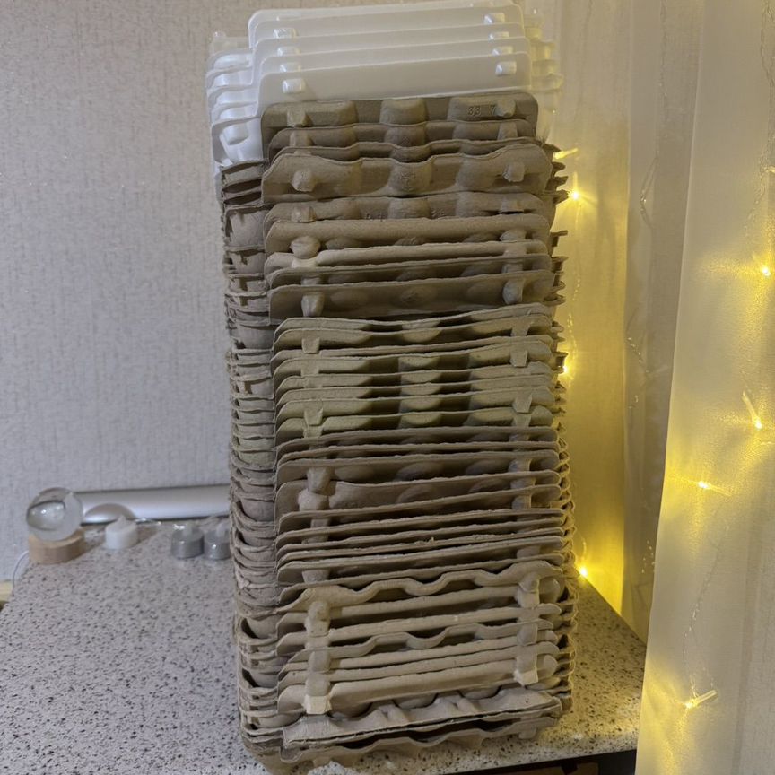 Яичные лотки более 40 штук