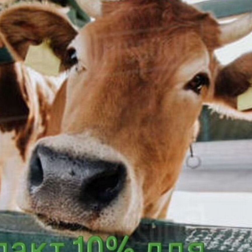 Белково-витаминно-минеральный концентрат для коров