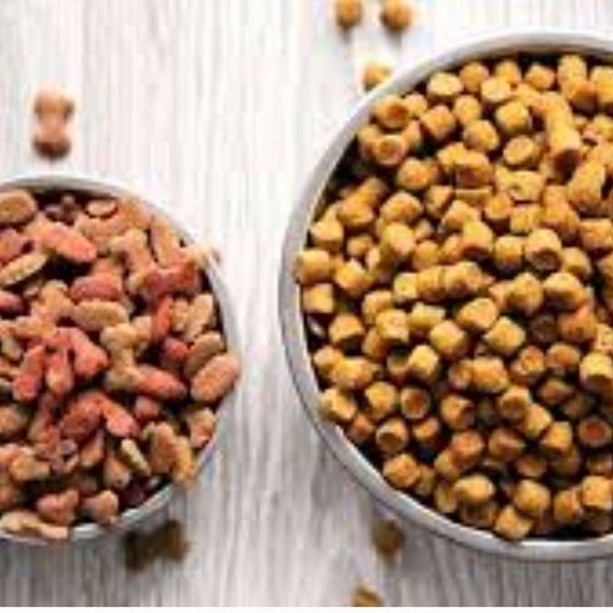 Корм для собак