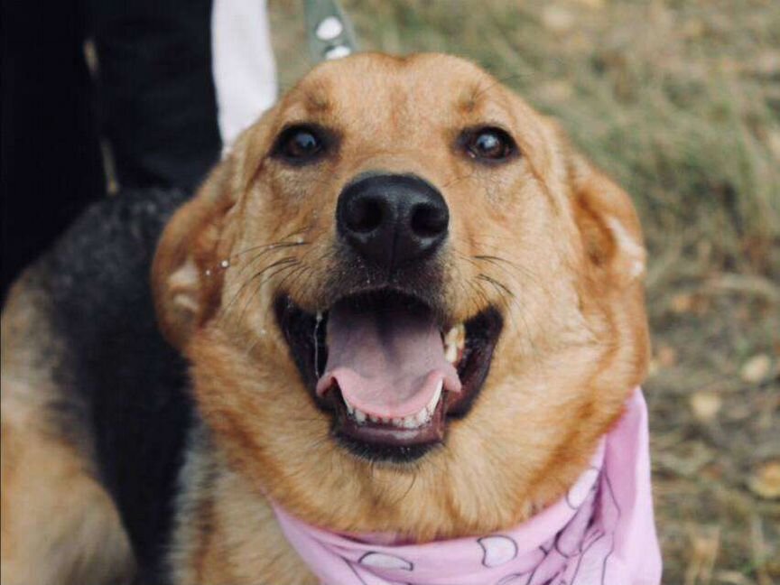 Красавица Баффи ждёт своего человека