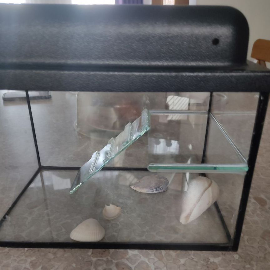 Аквариум для черепах