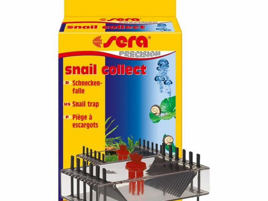 Ловушка для улиток