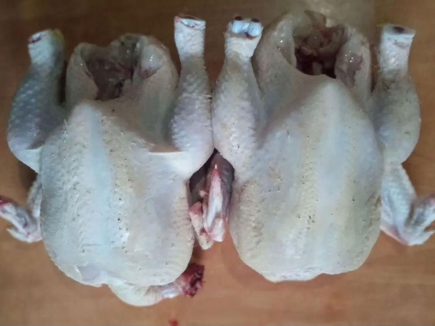 Куры бройлеры,индейка