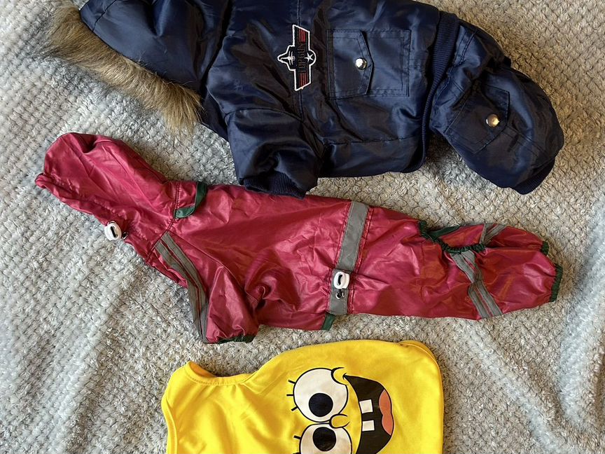 Одежда для собак мелких пород