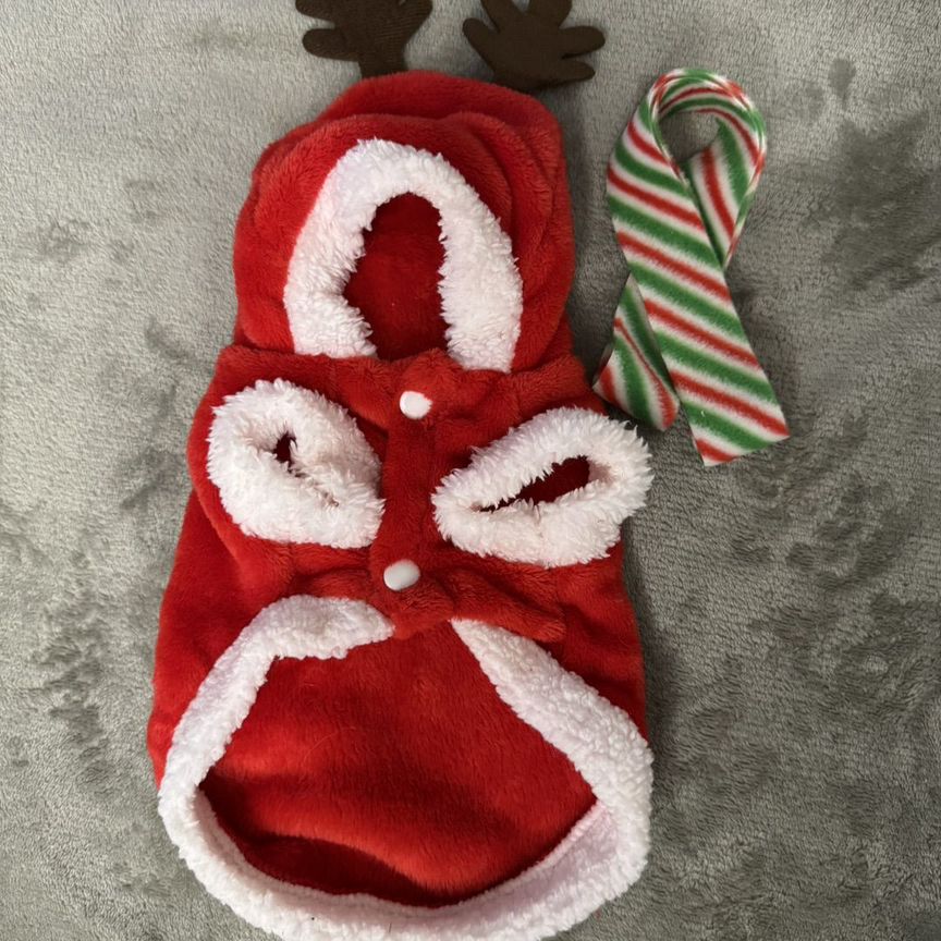 Новогодний костюм для собаки