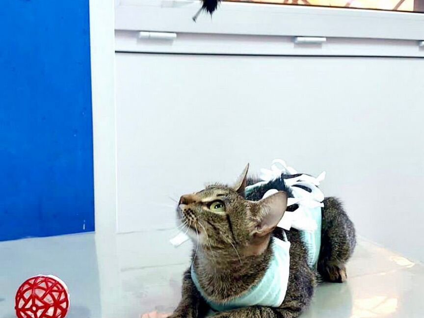 Люси