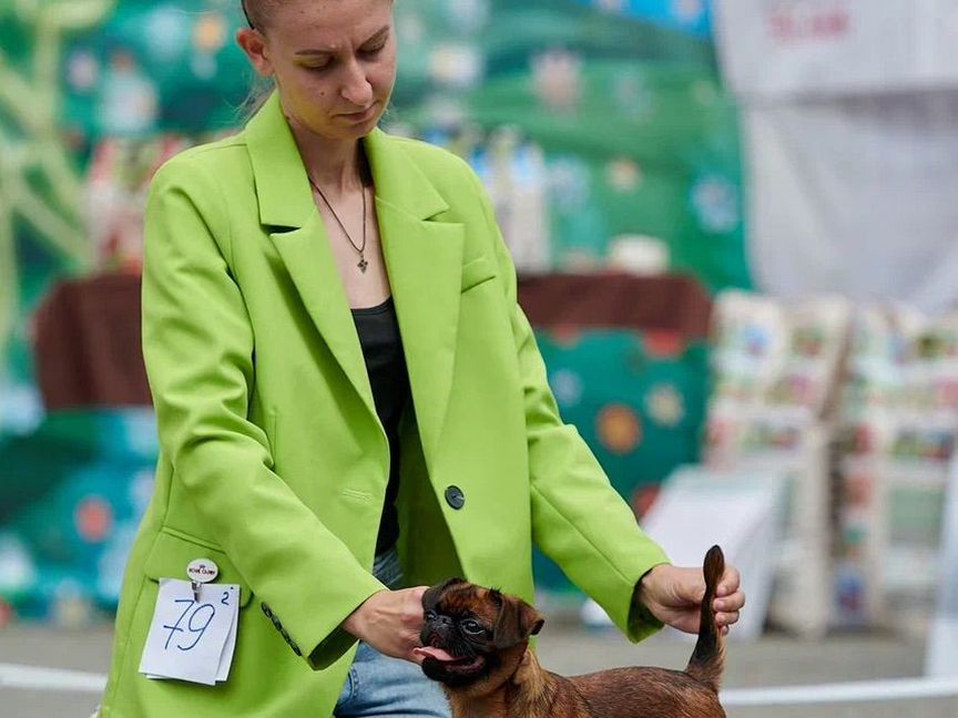 Пти Брабансон мини-куколка