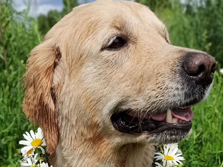 Умнее не встречала