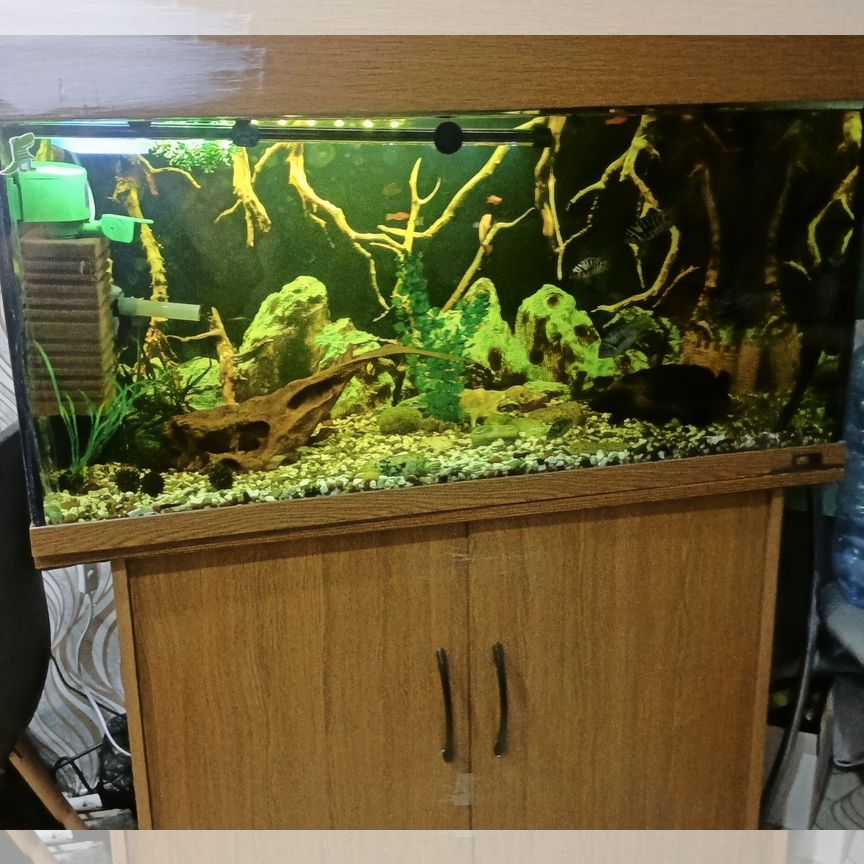 Аквариум с тумбой 200л