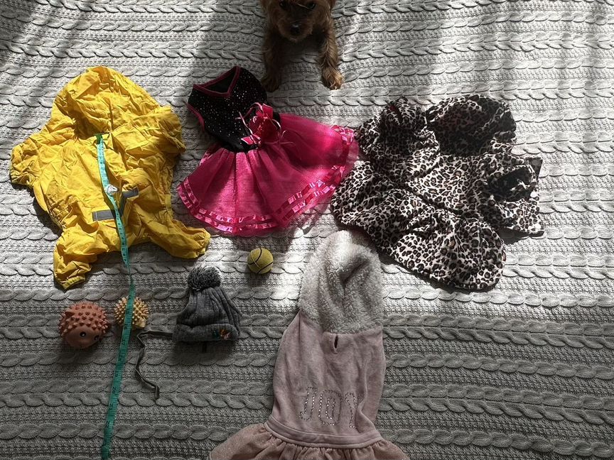 Одежда для собак на девочку пакетом