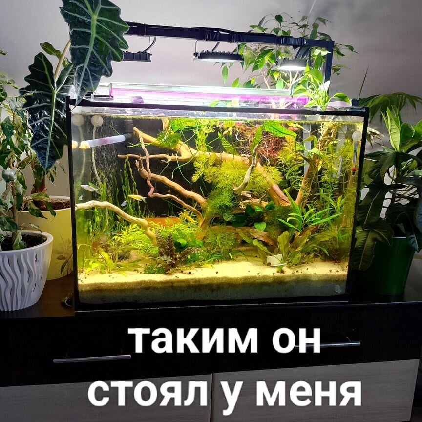 Аквариум