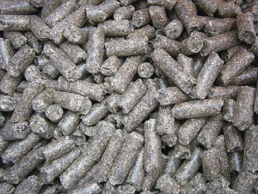 Шрот подсолнечника пресованный