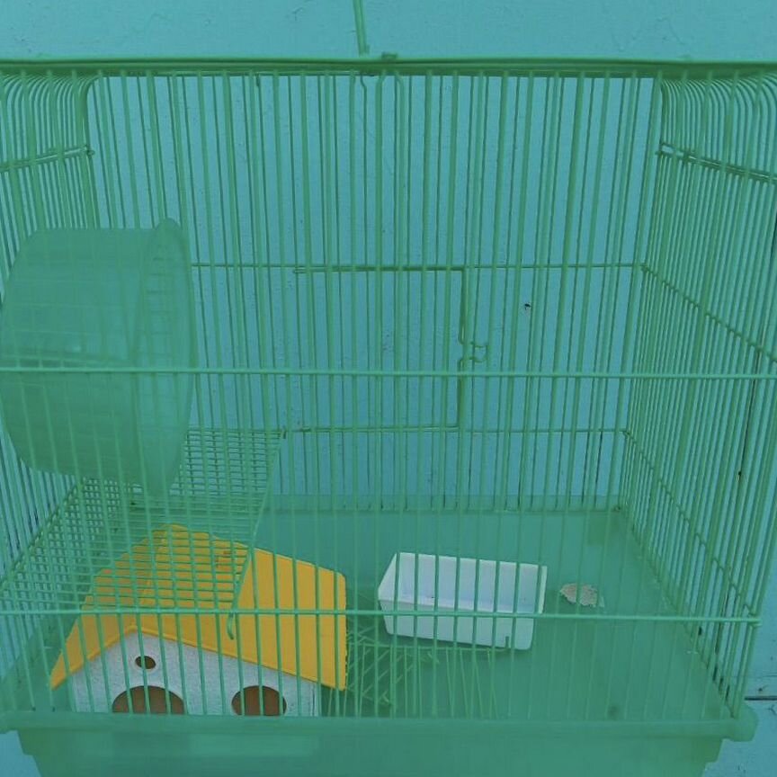 Клетка для грызунов бу