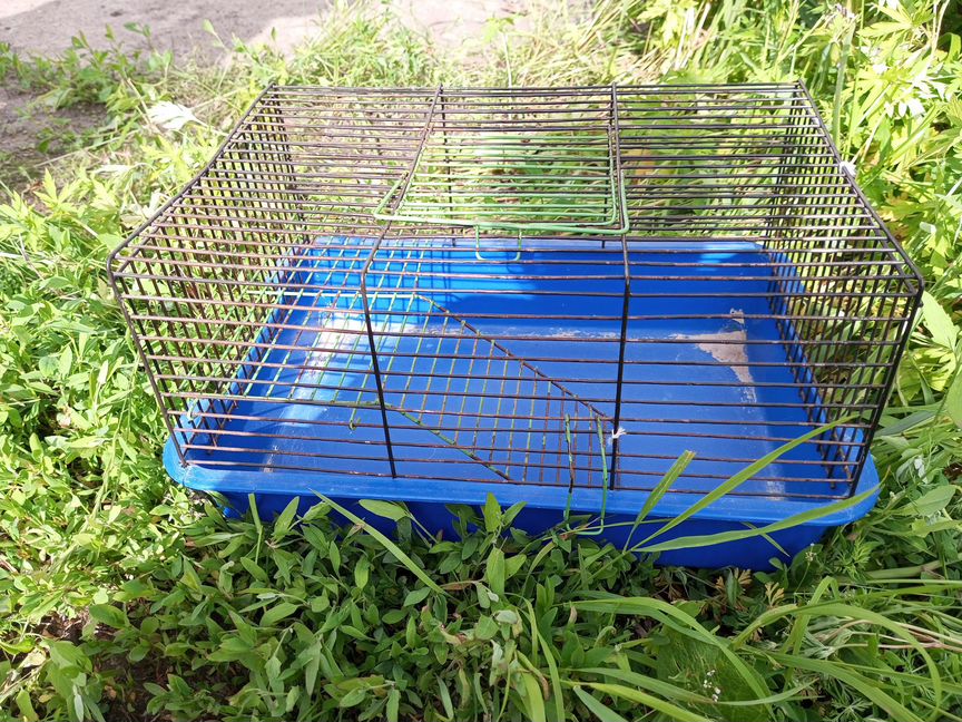 Клетка для грызунов