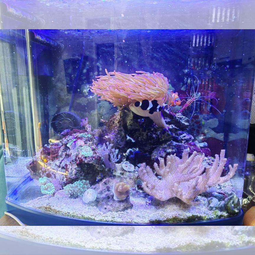 Морской аквариум Boyu