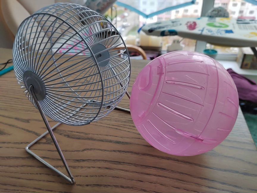Игрушки для хомяка