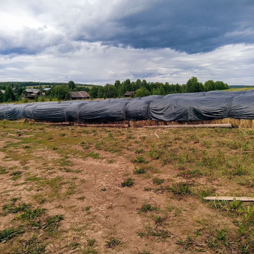 Сено в рулонах, Тимофеевка+клевер