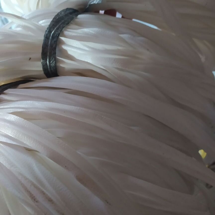 Водоросли белые