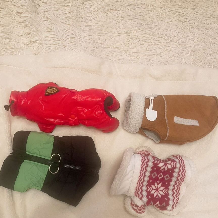 Одежда для собак мини
