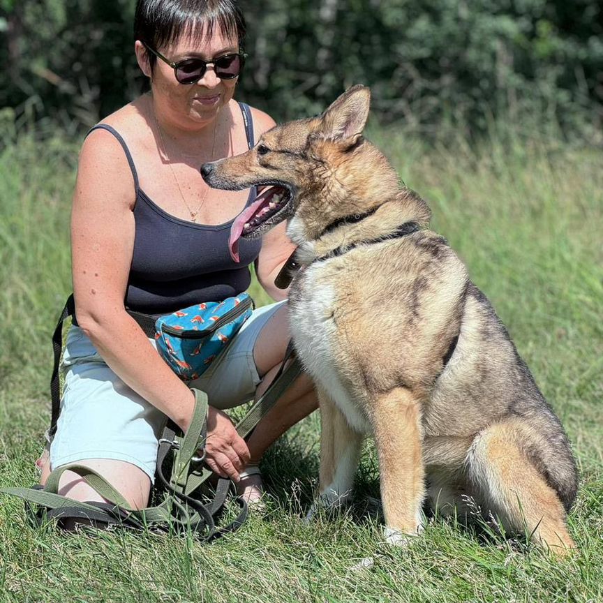 Ласковый Степа из приюта Некрасовка