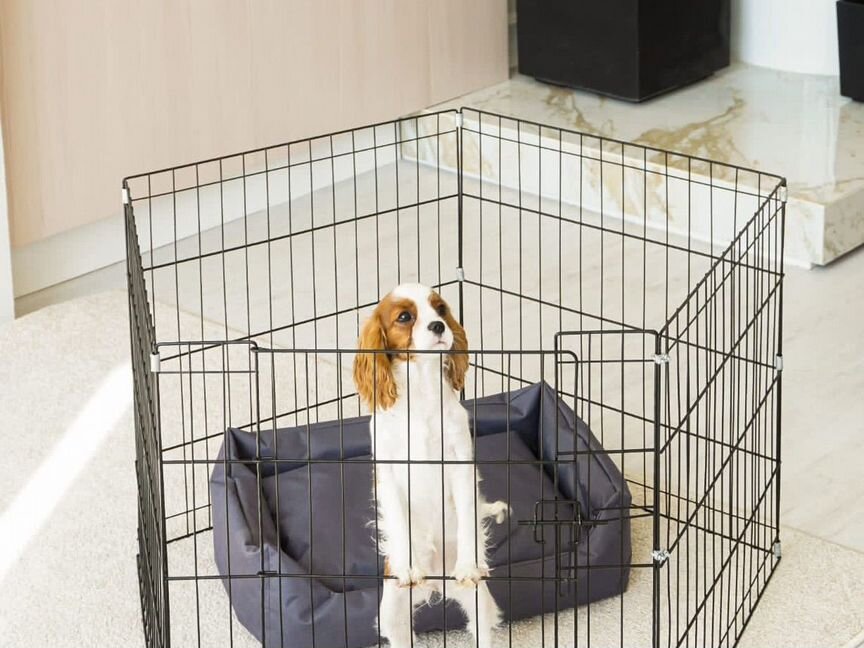 Вольер для собак