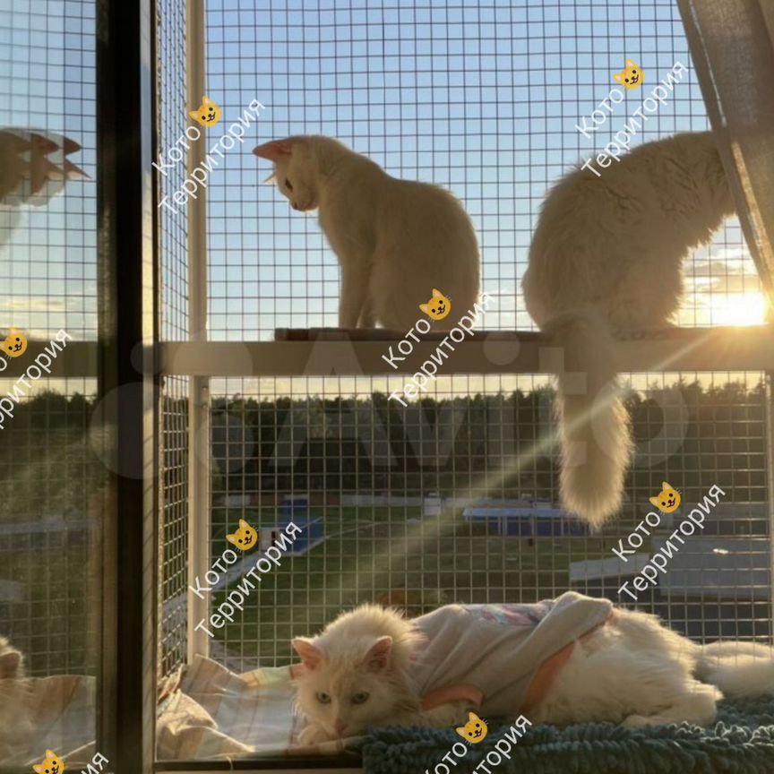 Сетка на окна антикошка