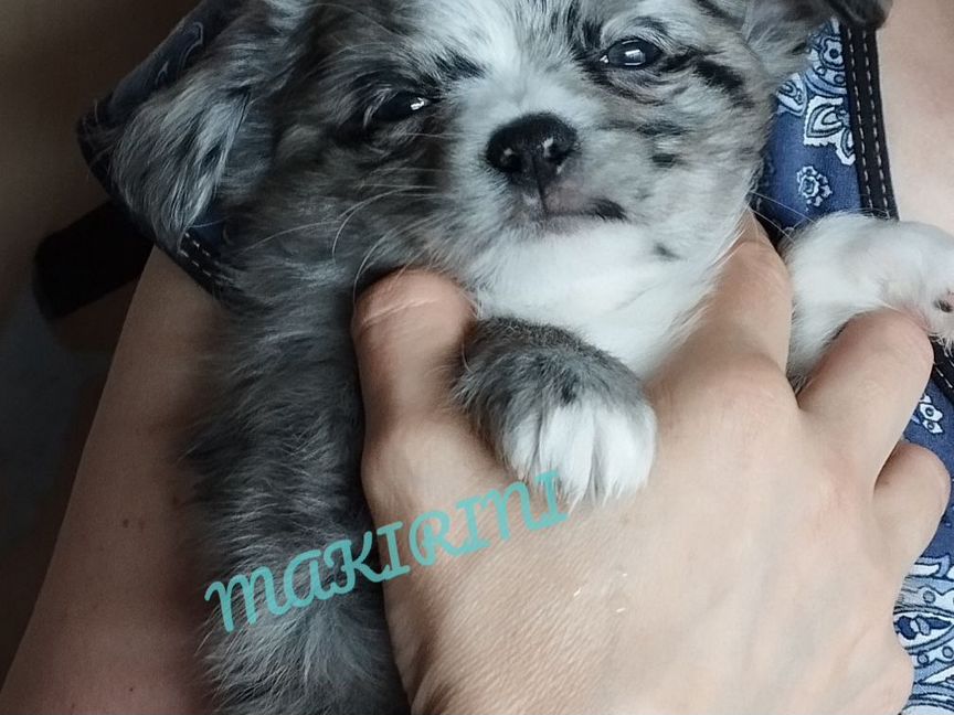 Мальчик с голубыми глазами