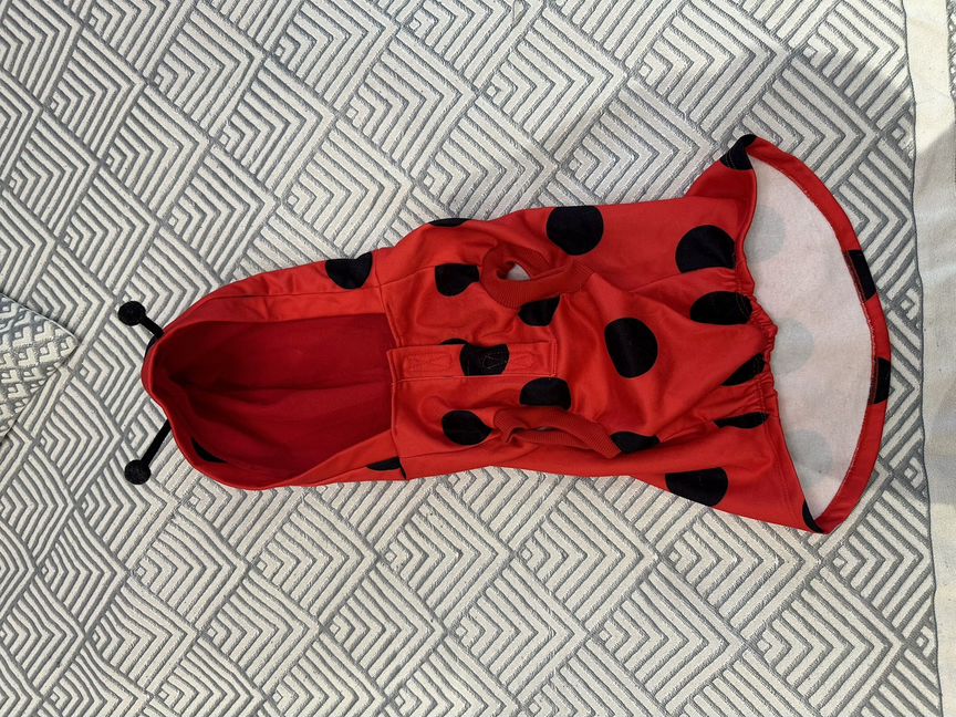 Костюм на собаку божья коровка