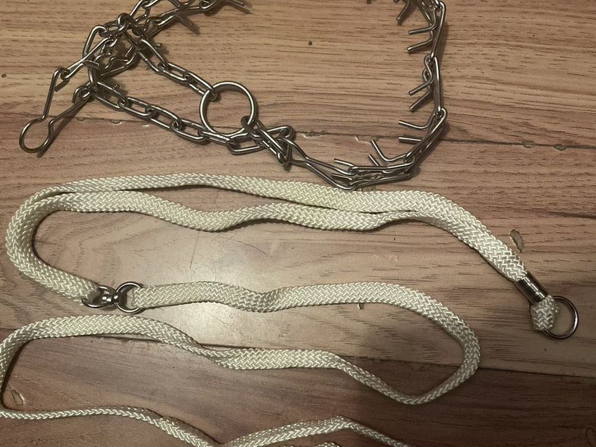 Строгий ошейник, поводок