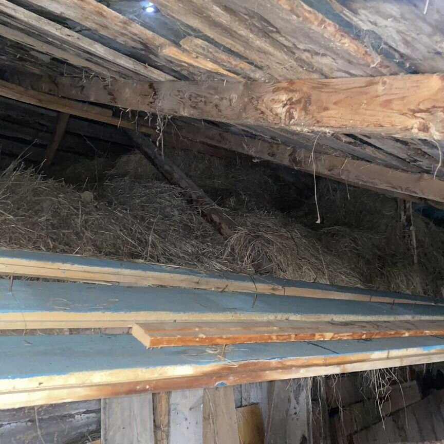 Сено солома