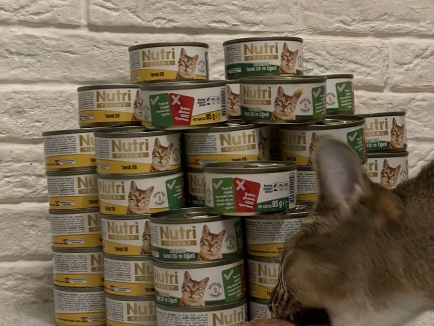 Корм для кошек Nutri Feline (Испания)